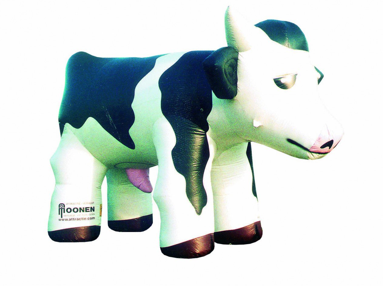 Koe / Os opblaasbaar - Attractie.com